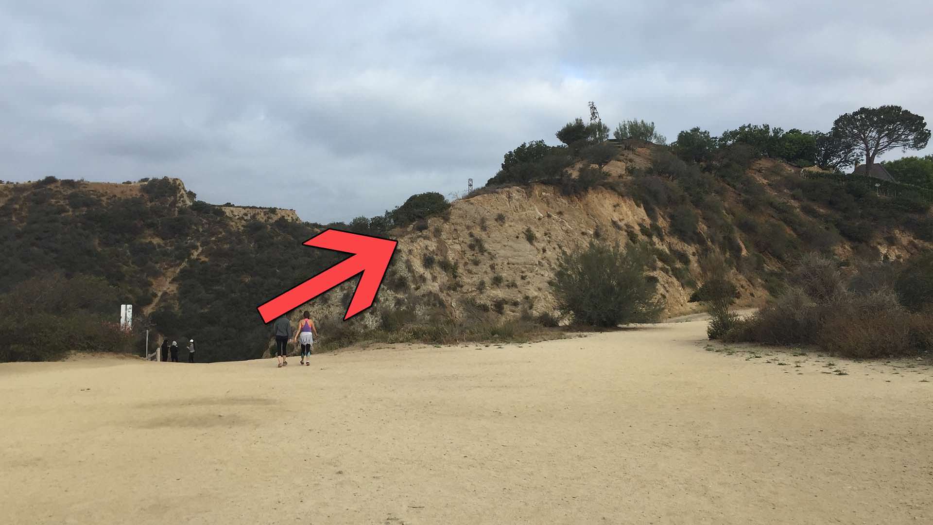 Runyon Canyon Trail Guide - HikingGuy