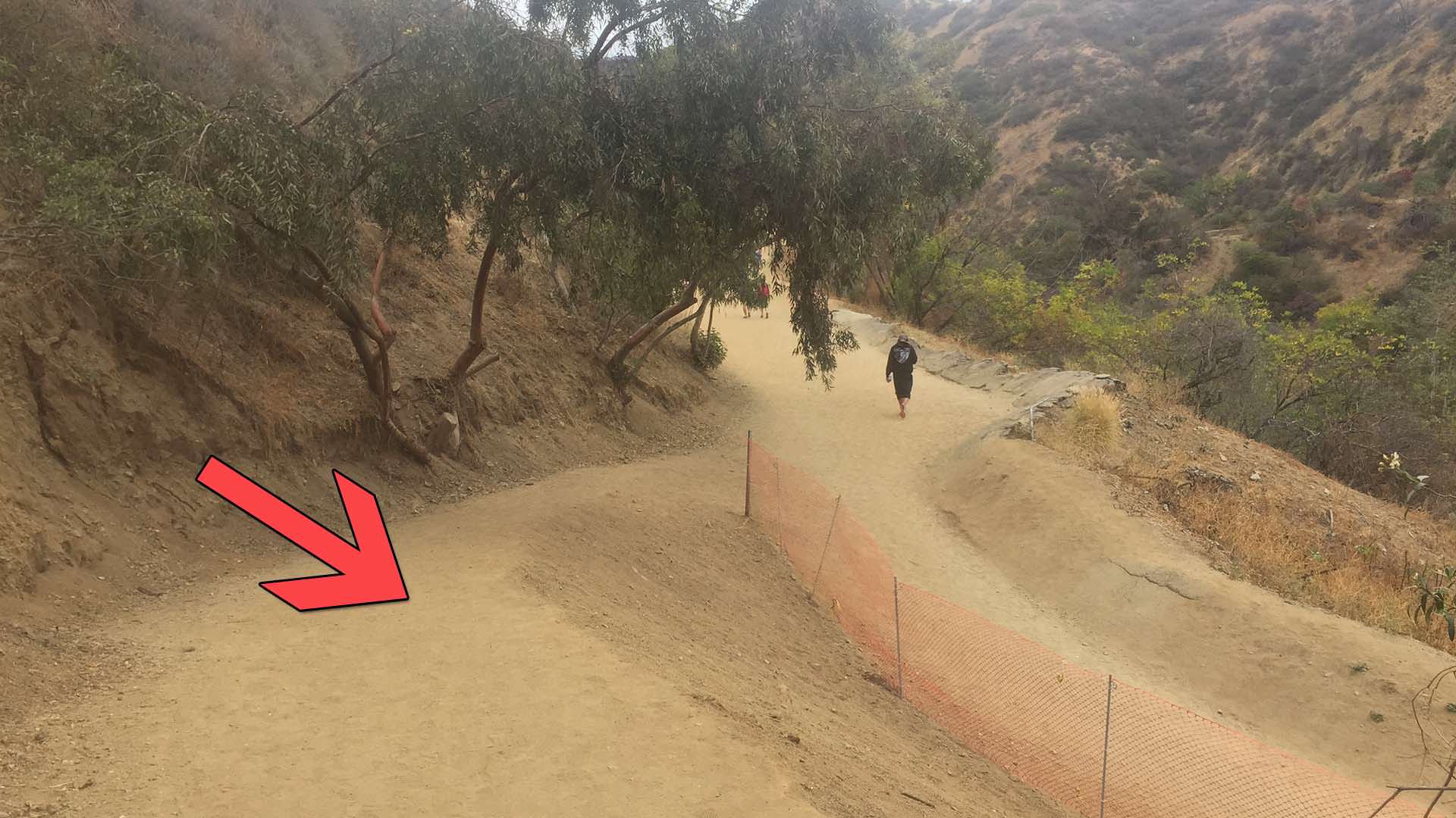 Runyon Canyon Trail Guide - HikingGuy