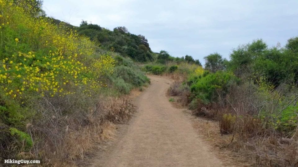 El Moro Canyon Loop Trail