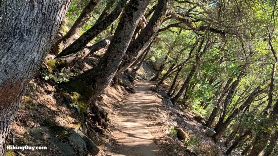 Four Mile Trail Hike Guide - HikingGuy