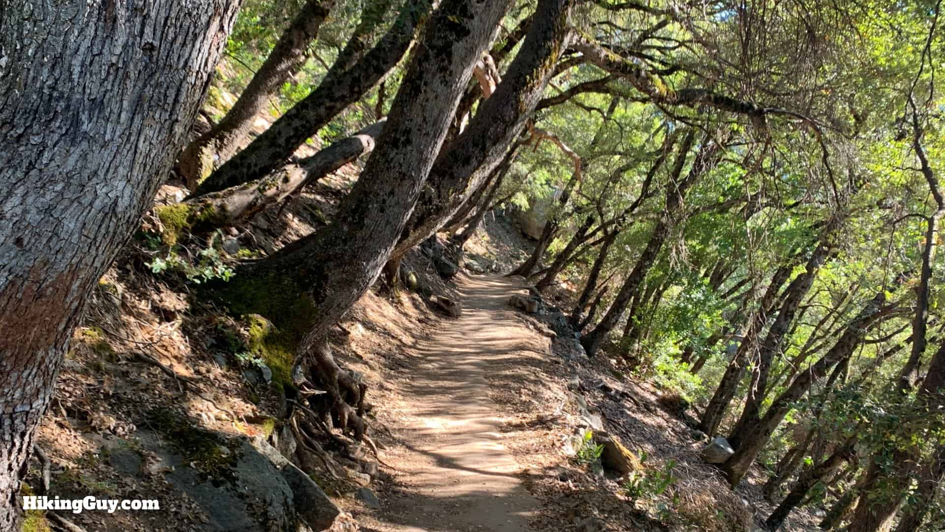 Four Mile Trail Hike Guide - HikingGuy.com