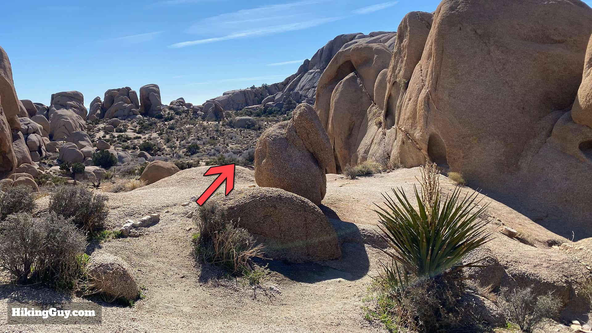 Hike Split Rock (Joshua Tree) Loop Trail