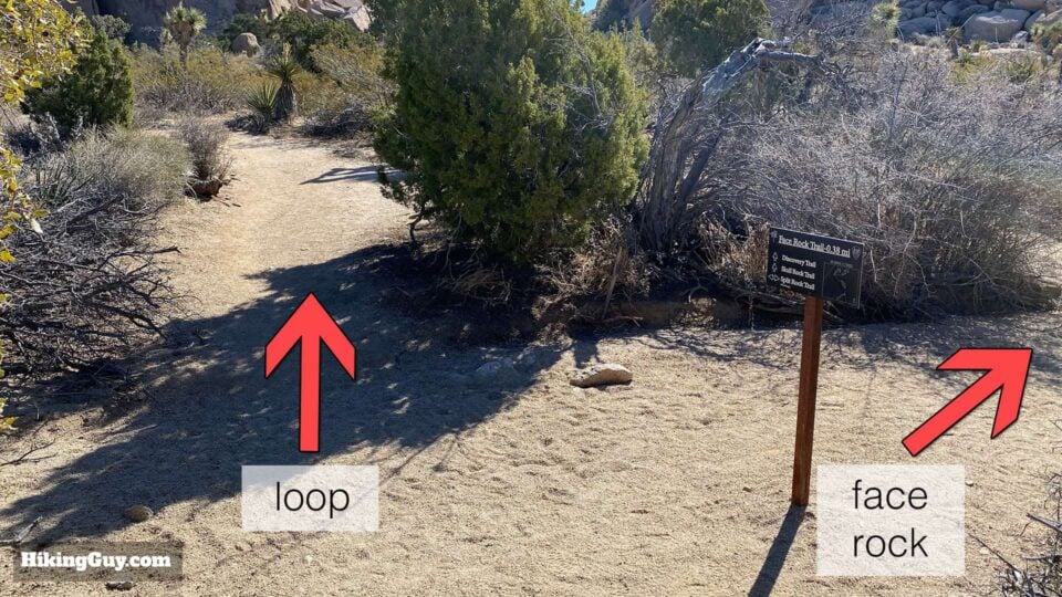 Hike Split Rock (Joshua Tree) Loop Trail