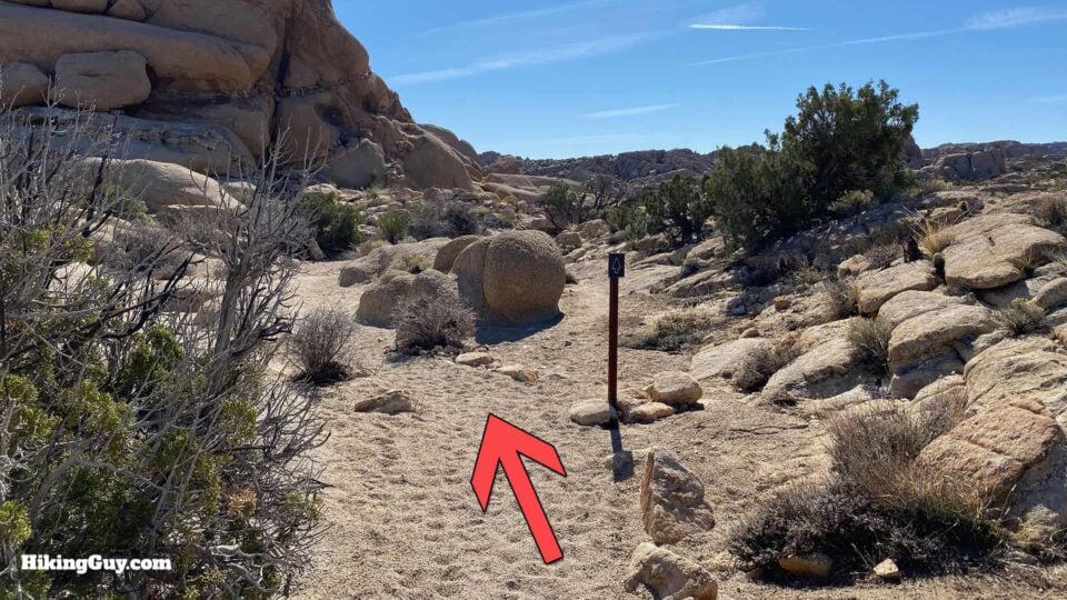 Hike Split Rock (Joshua Tree) Loop Trail