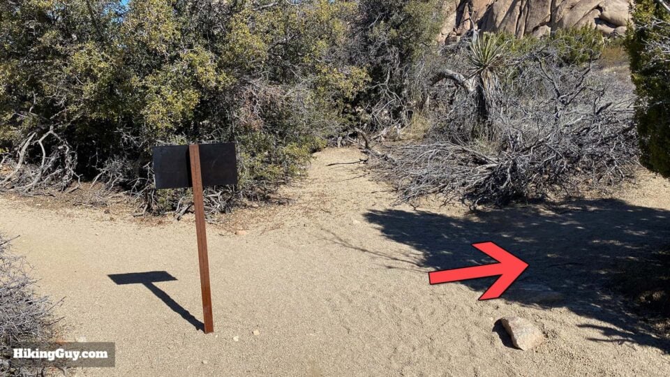 Hike Split Rock (Joshua Tree) Loop Trail