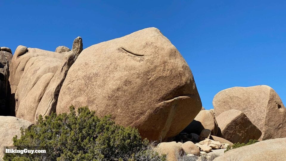 Hike Split Rock (Joshua Tree) Loop Trail