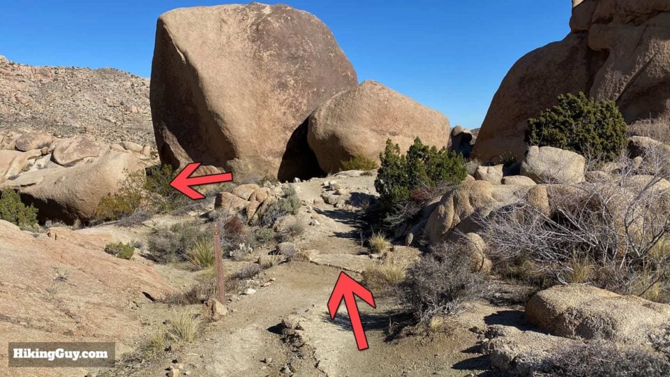 Hike Split Rock (Joshua Tree) Loop Trail