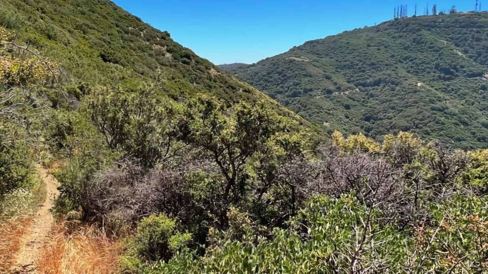 Best Hikes in Orange County - HikingGuy