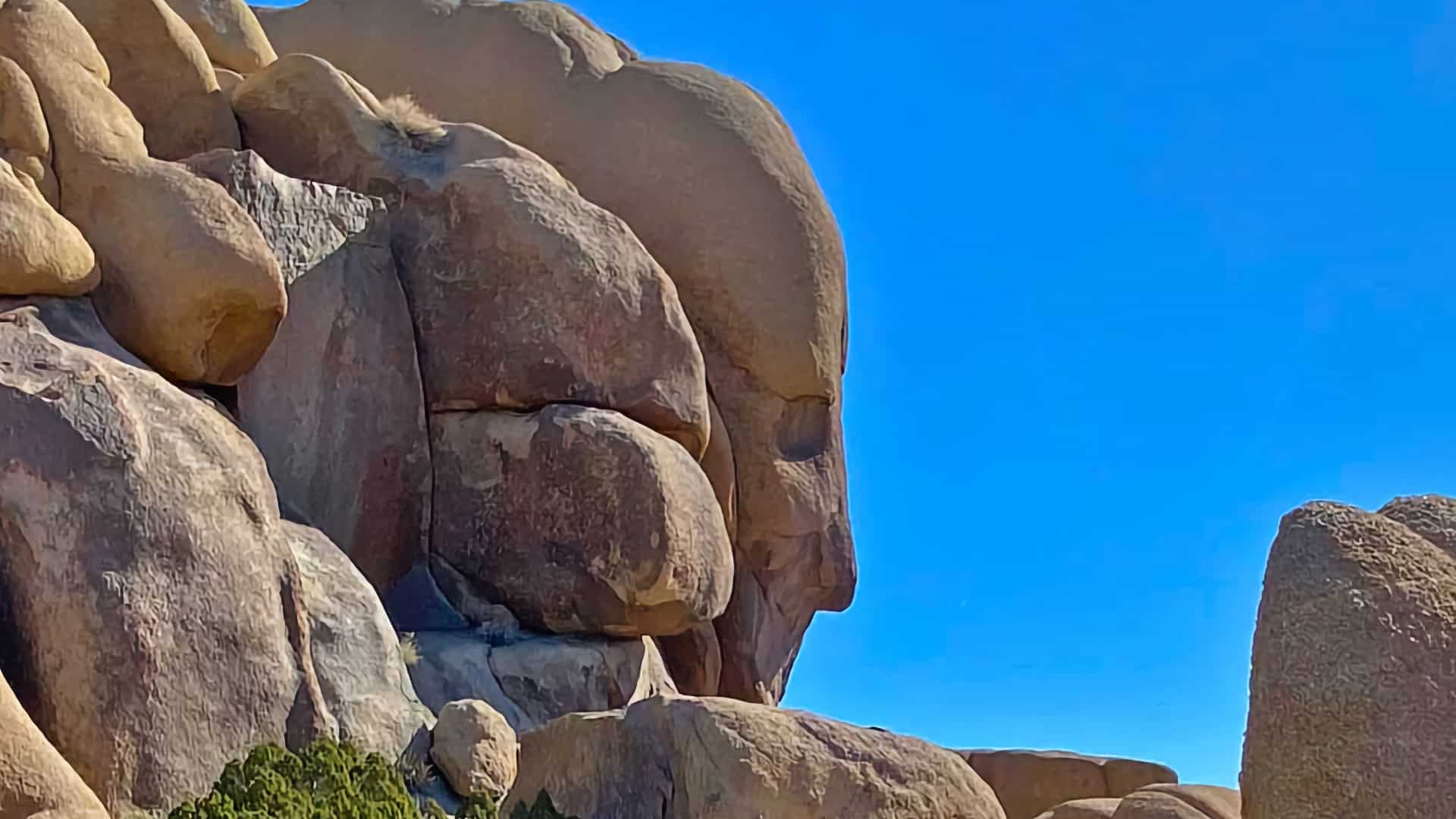 Hike Split Rock (Joshua Tree) Loop Trail