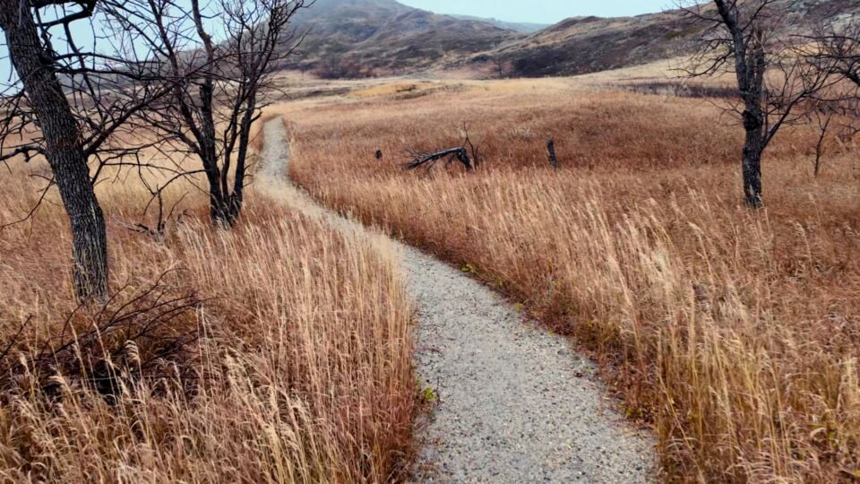 Guide to Hike White Butte - North Dakota Highpoint